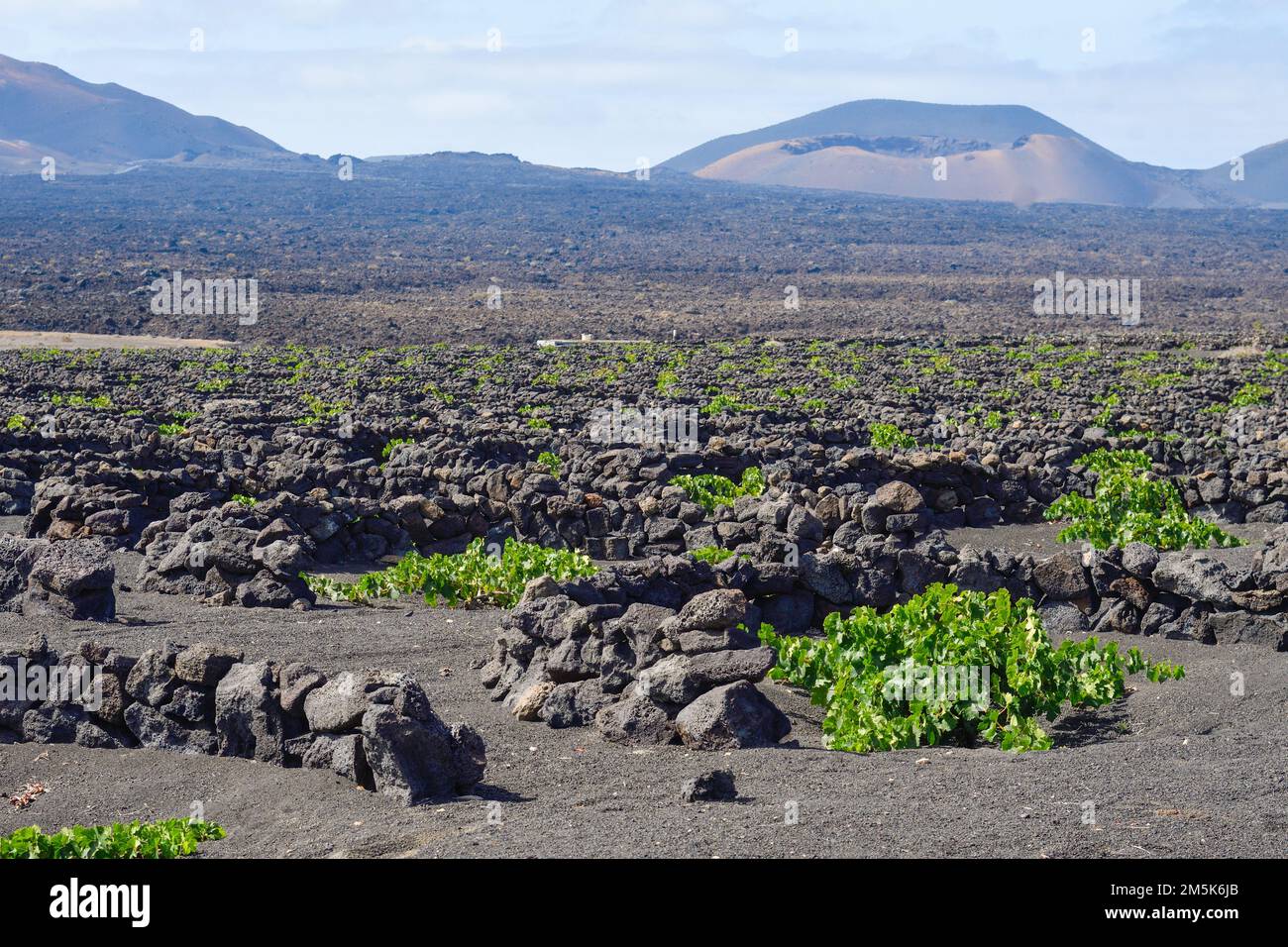 Estaciones del ño hi-res stock photography and images - Alamy