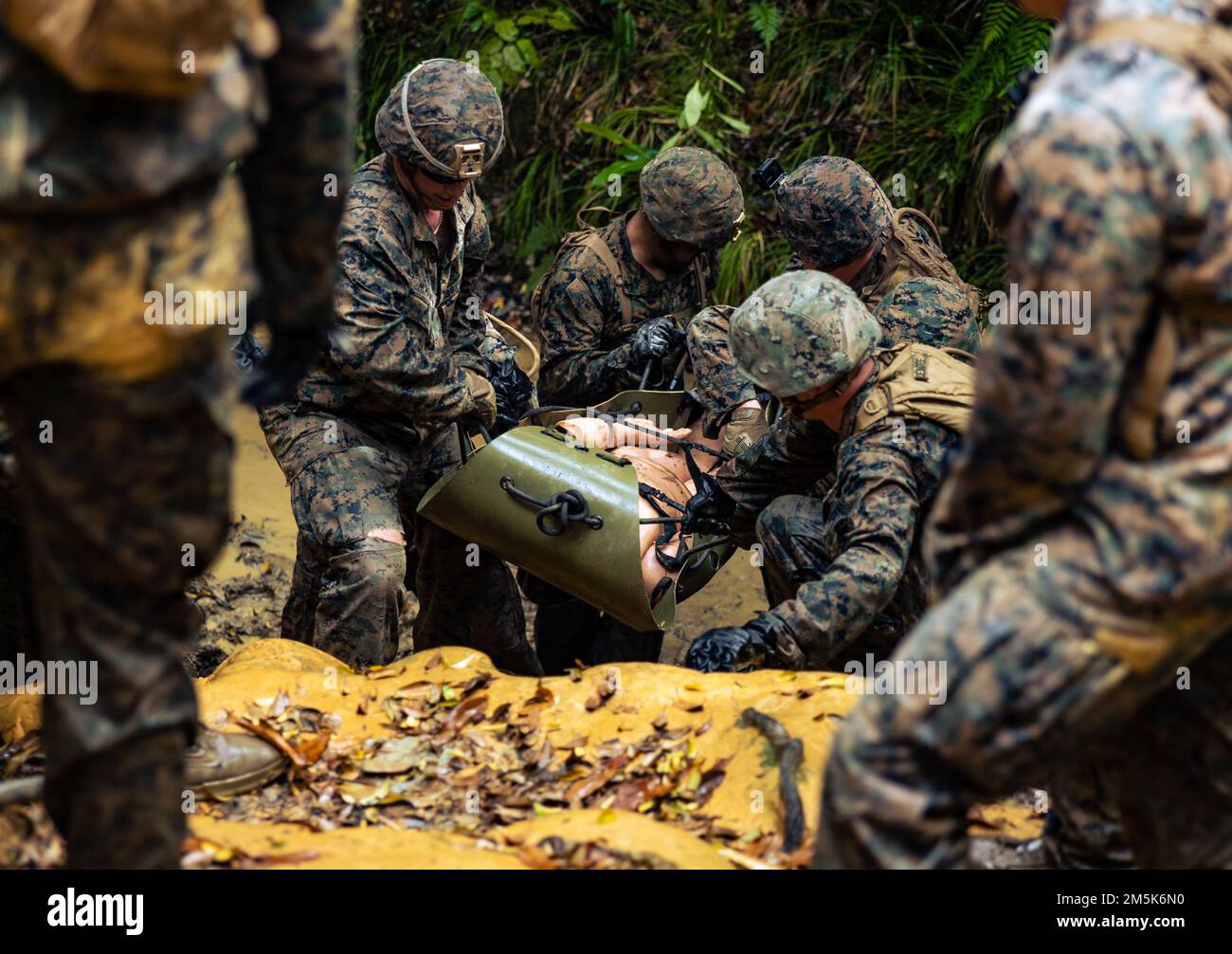 Human dummy hi-res stock photography and images - Alamy