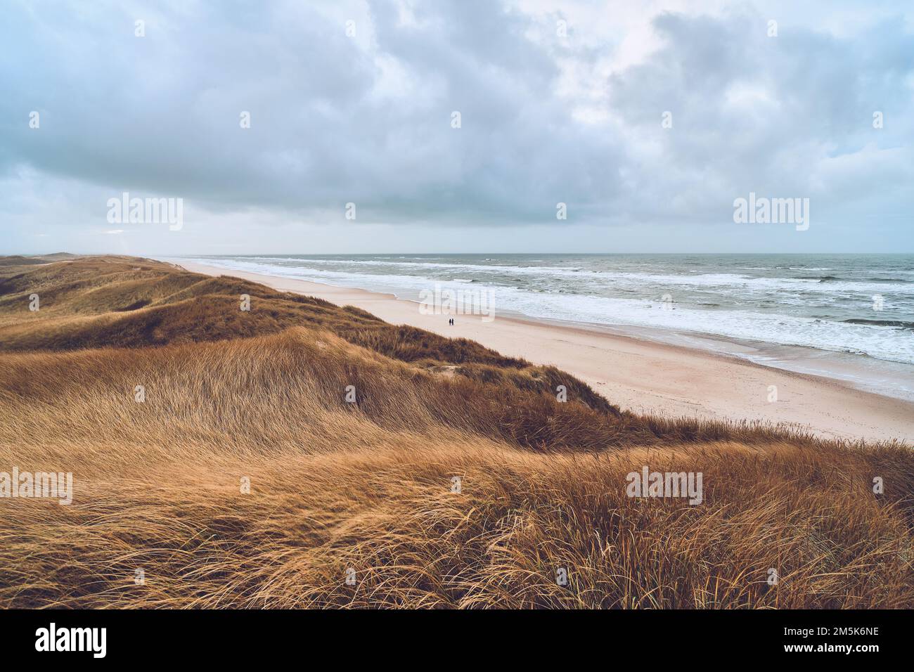 Rural path denmark hi-res stock photography and images - Alamy