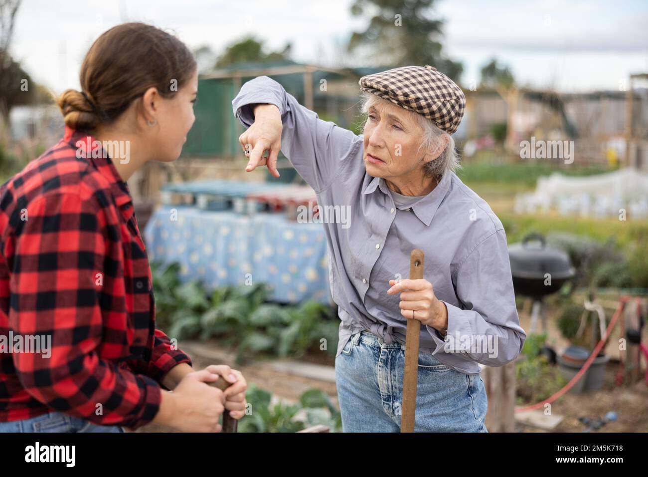 Farm neighbors quarrel over farm backyard in day Stock Photo - Alamy
