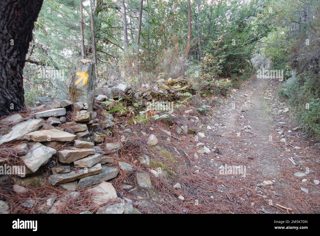 Find the Camino marker: Am arrow as a sign for pilgrims on the ...