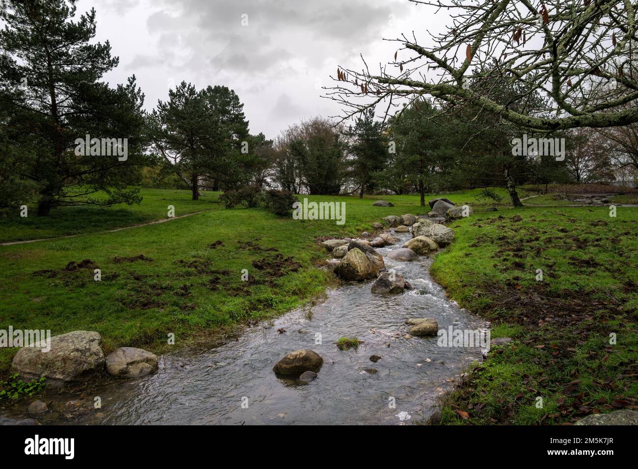 Stream in the Reserve des Barails, ecological park in Bordeaux, France ...