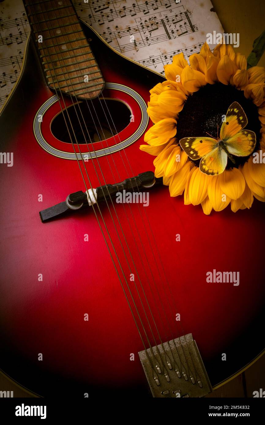 Mandolins hi-res stock photography and images - Alamy