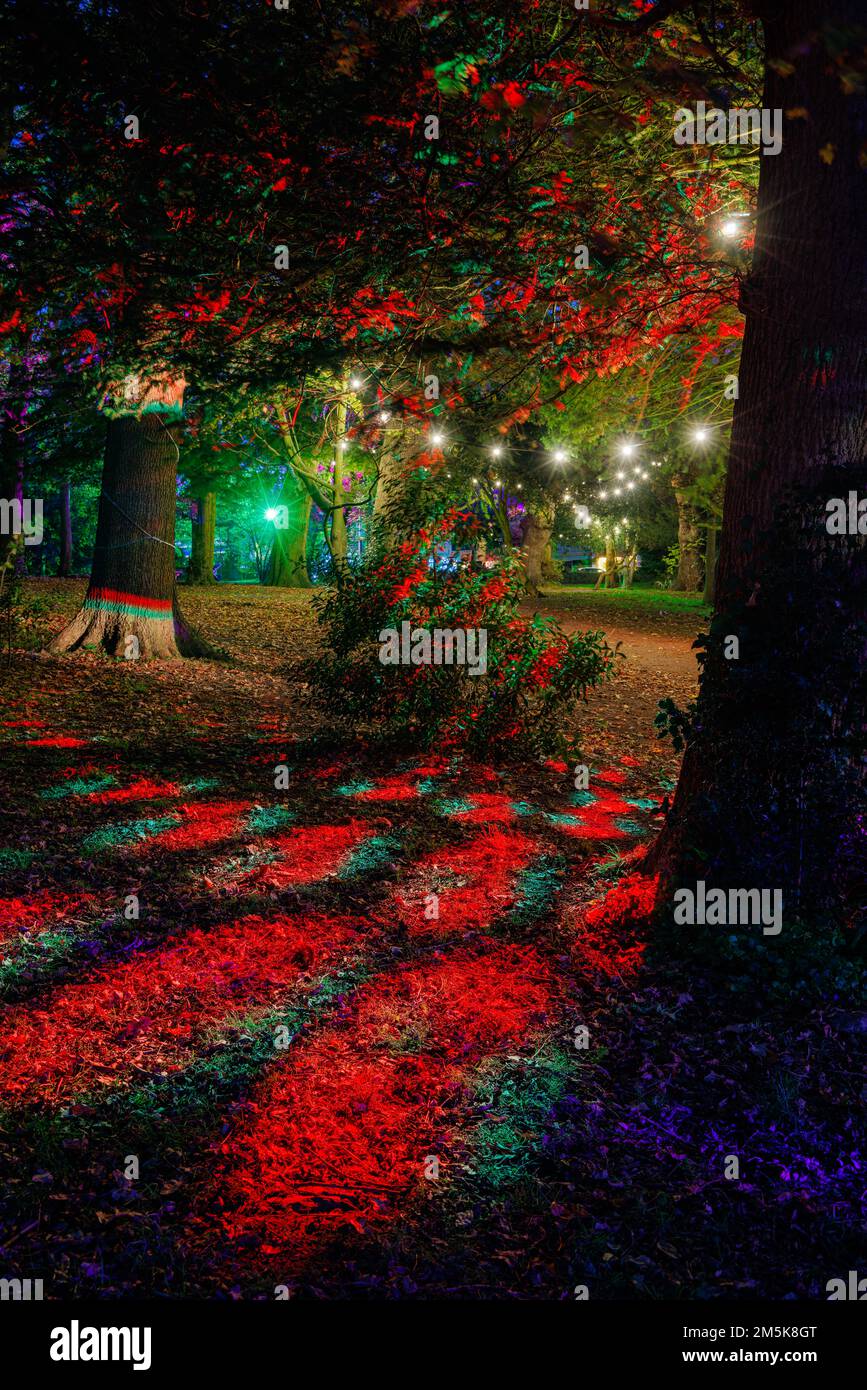 Multicoloured picture hi-res stock photography and images - Alamy