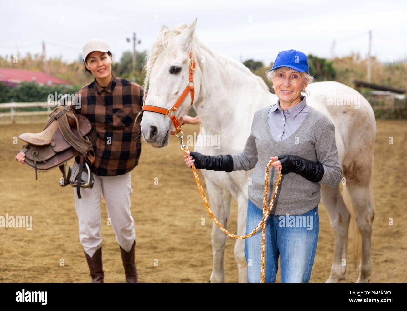 Women ranchers preparing white horse for ride Stock Photo - Alamy