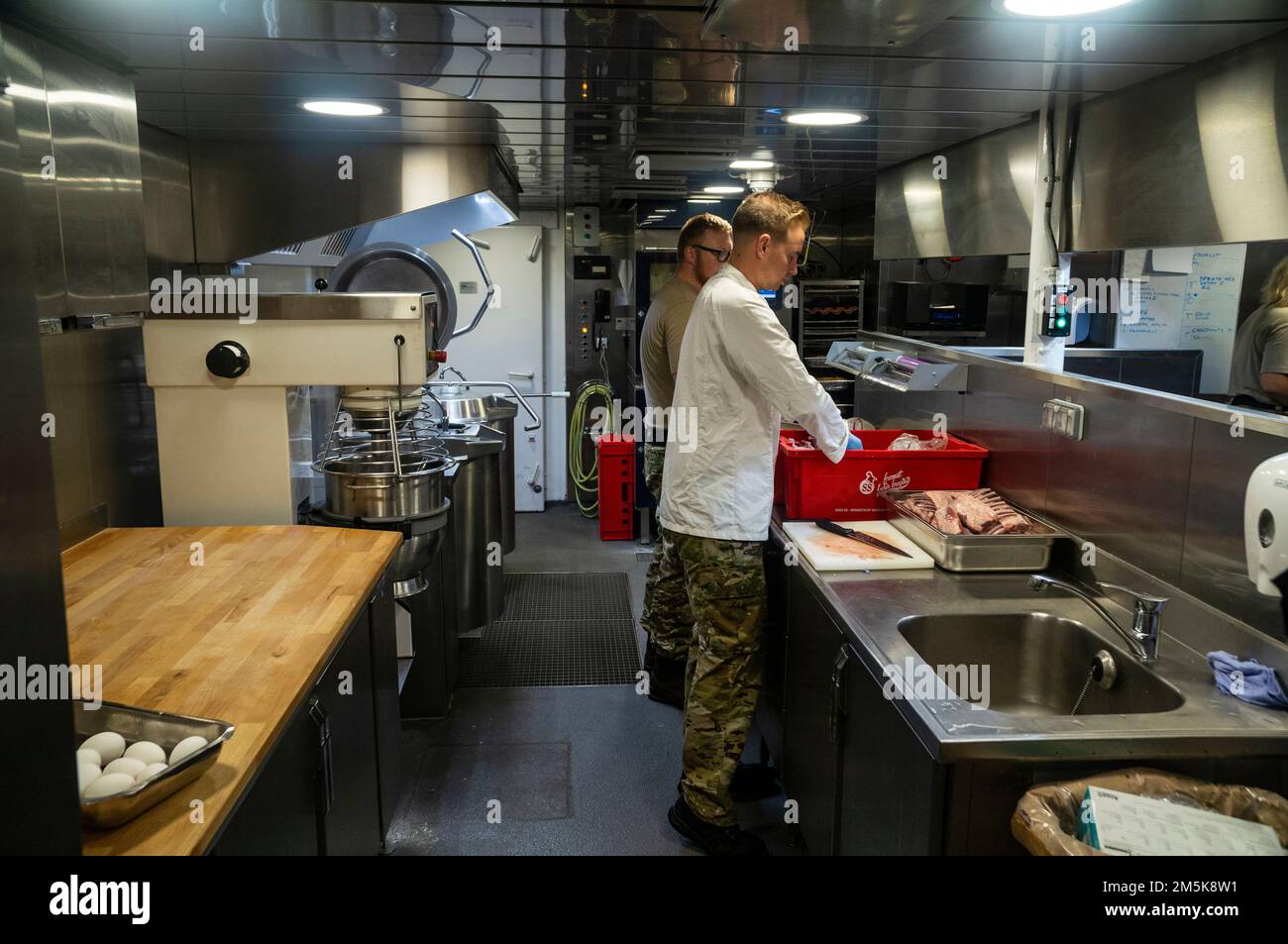 Preparing food in the galley of the Royal Danish Navy's patrol ship ...
