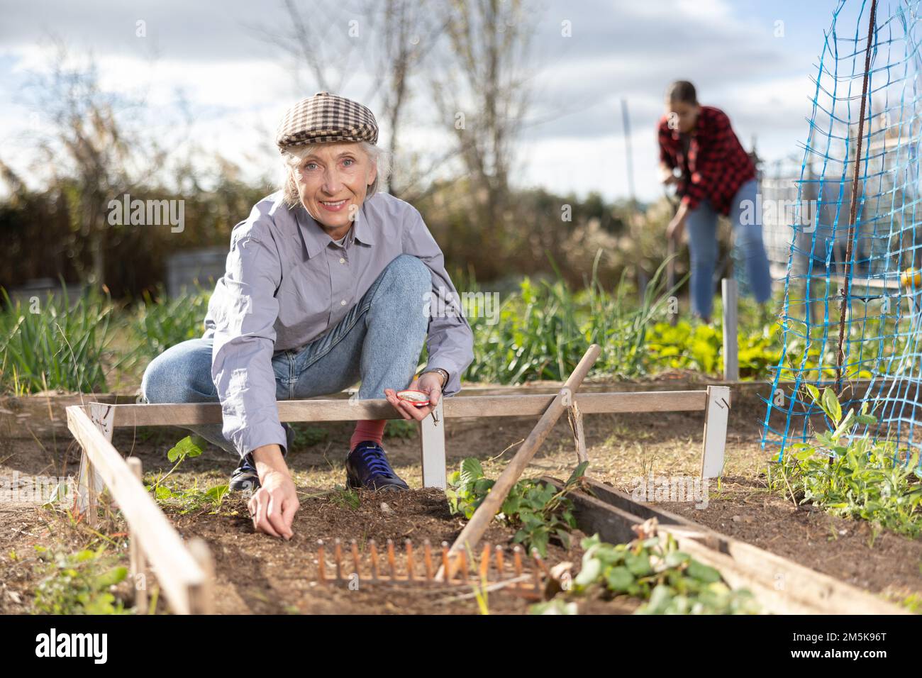 Female Owner Of Plantation Planting Seeds On Beds Stock Photo Alamy