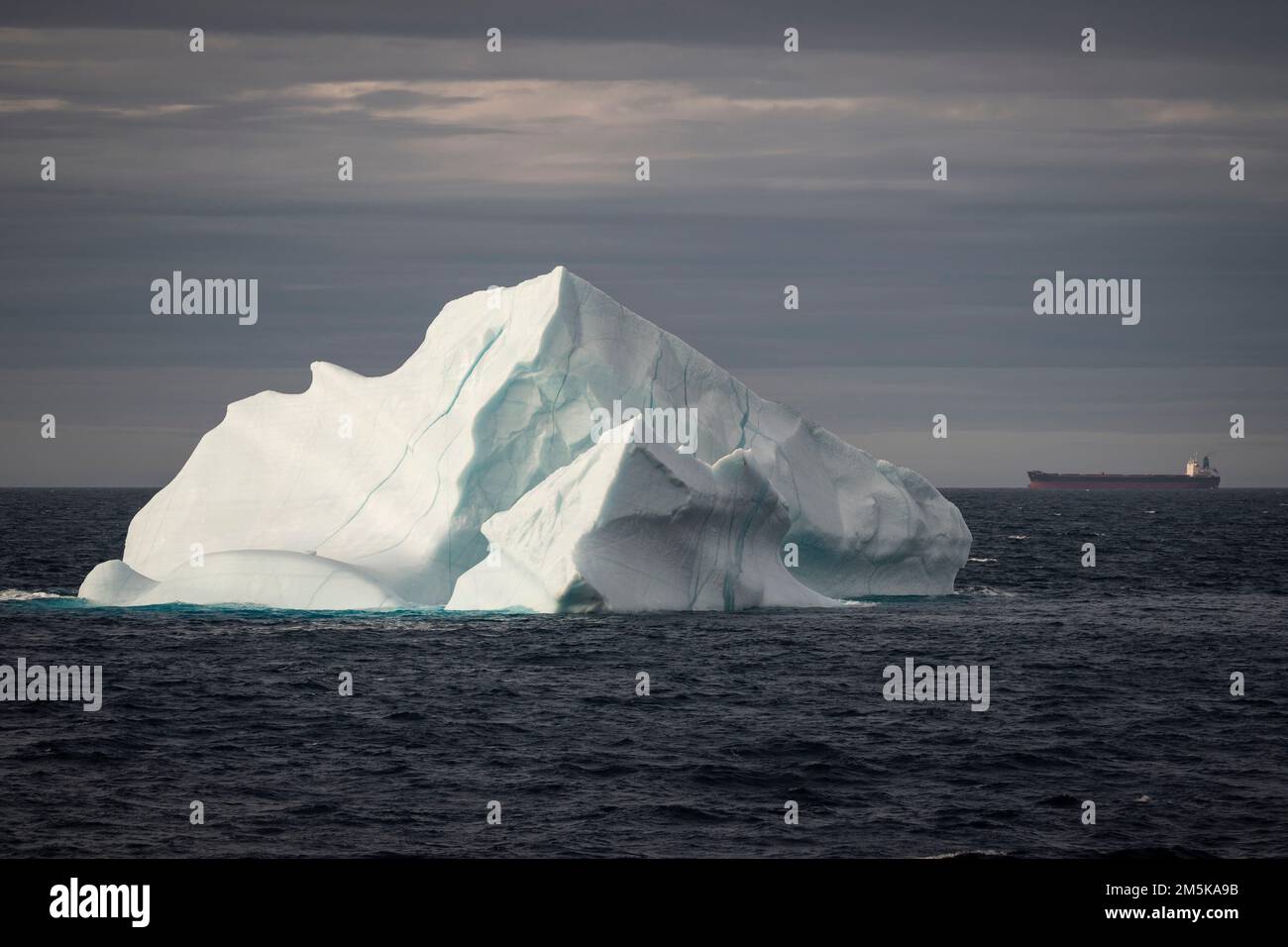 Bulk carrier (freighter) in the background of a large iceberg at sea ...