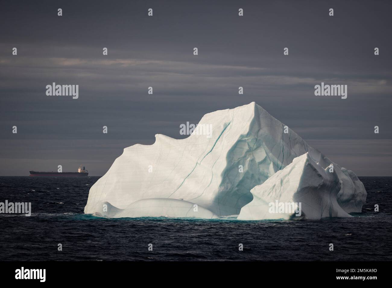 Bulk carrier (freighter) in the background of a large iceberg at sea ...
