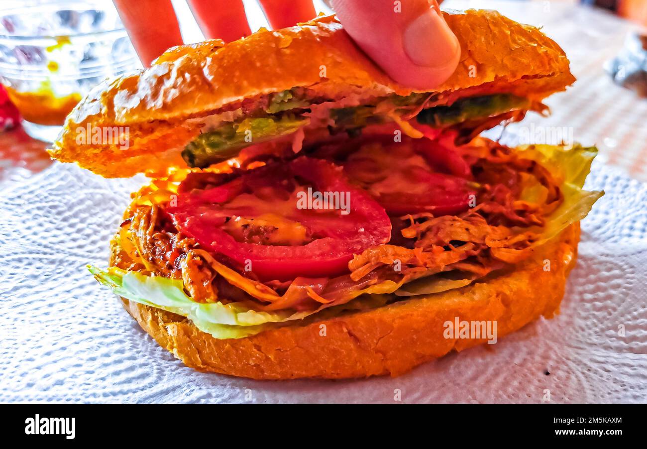 Typical Mexican dishes Tortas Tacos Empanadas Tortillas and Tamales in ...