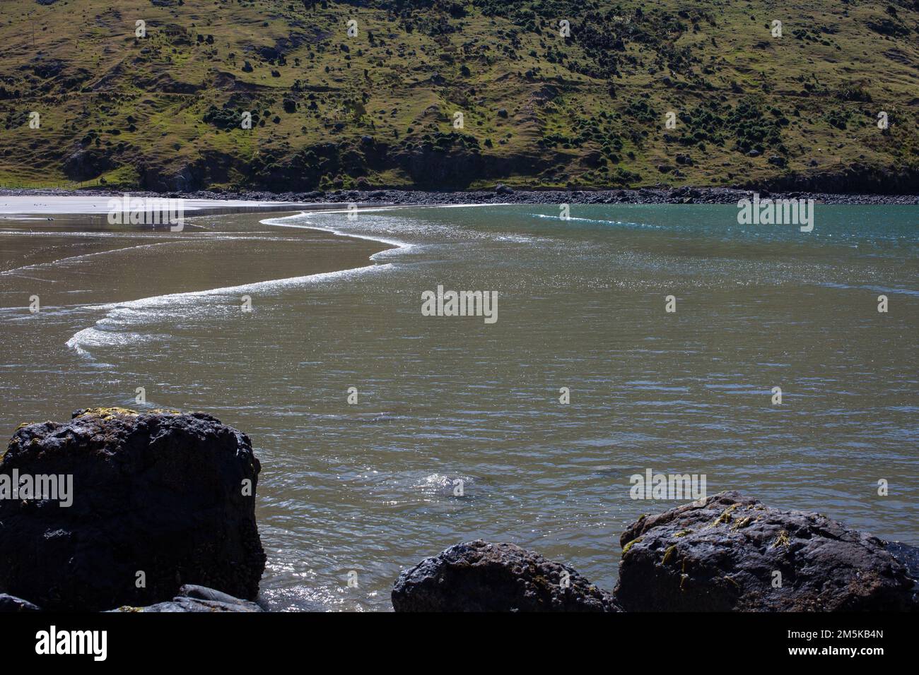 A Look at Life in New Zealand. Sights along the beach in a secluded Bay ...
