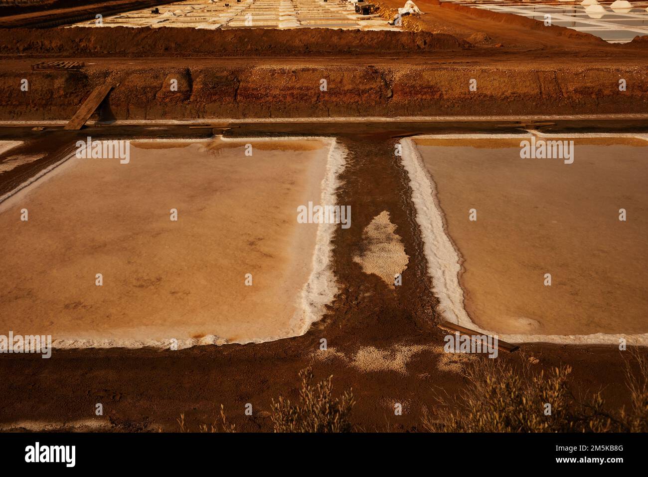 A close-up shot of separated salt pans in Faro Stock Photo - Alamy