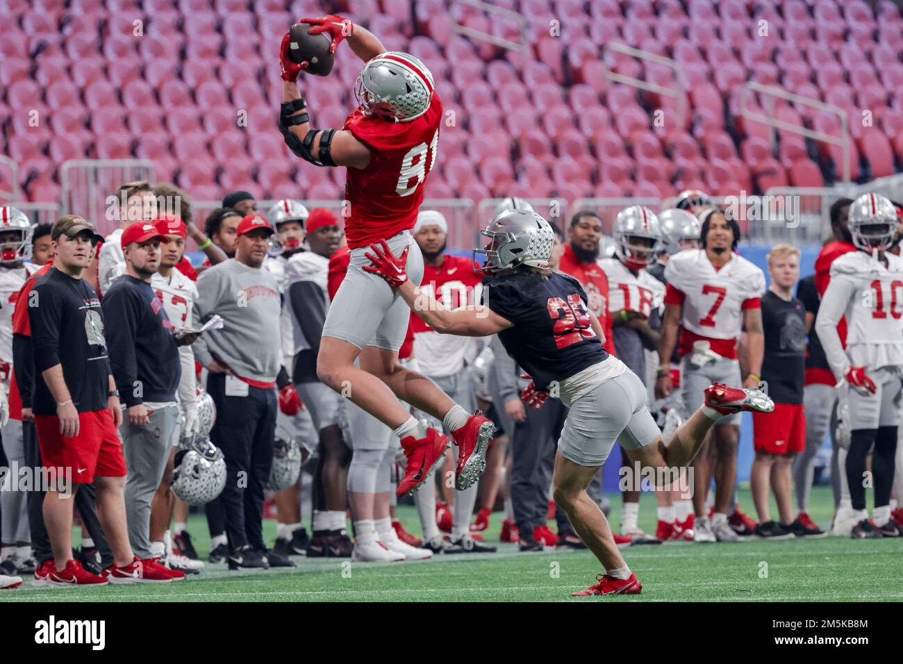 Stuart reid hi-res stock photography and images - Alamy