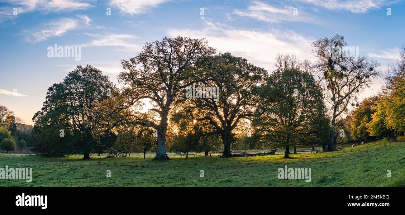 Fall Sunrise in Parke National Trust, Devon, England, Europe Stock ...