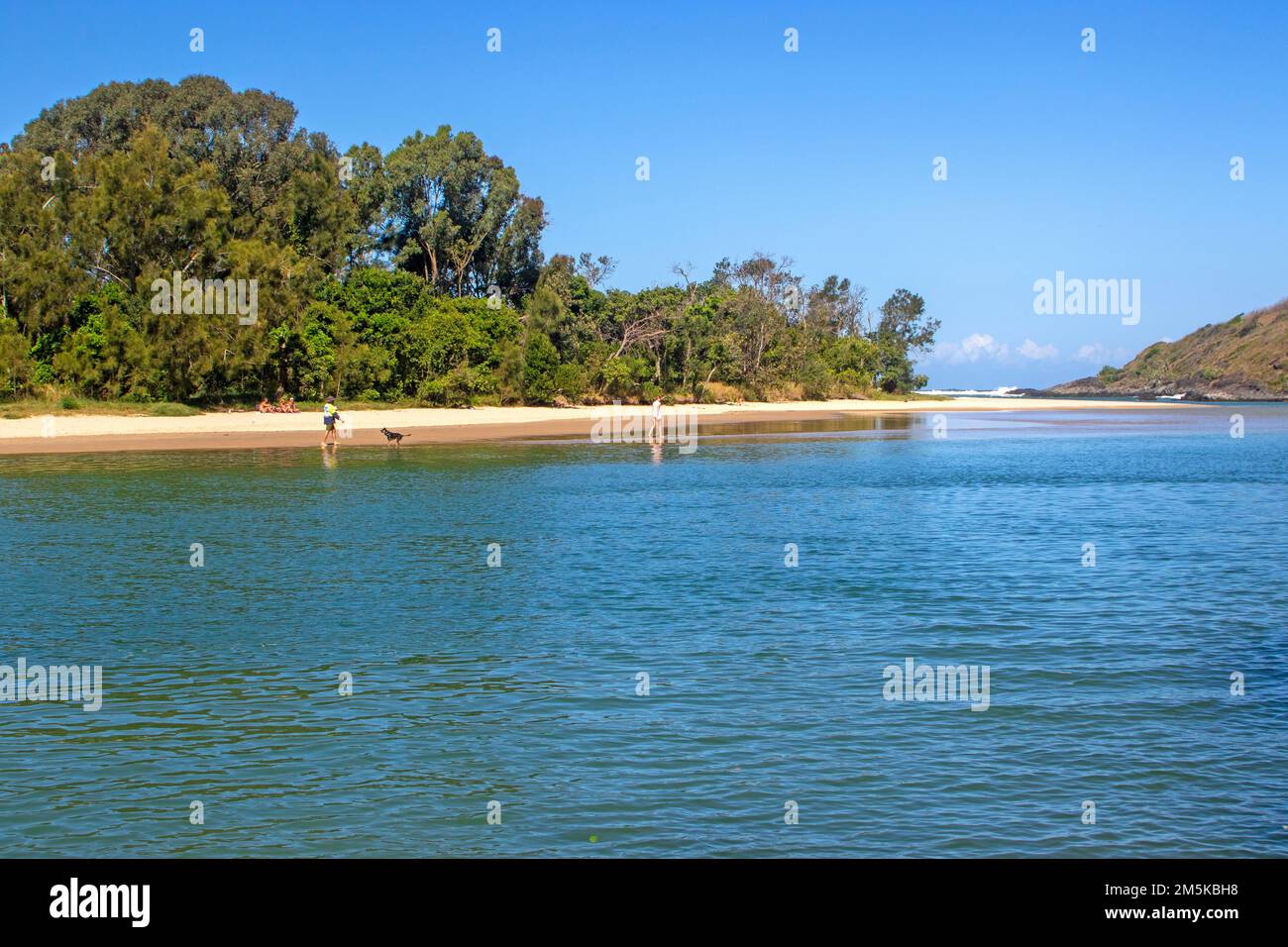 Boambee Creek, Coffs Harbour Stock Photo - Alamy