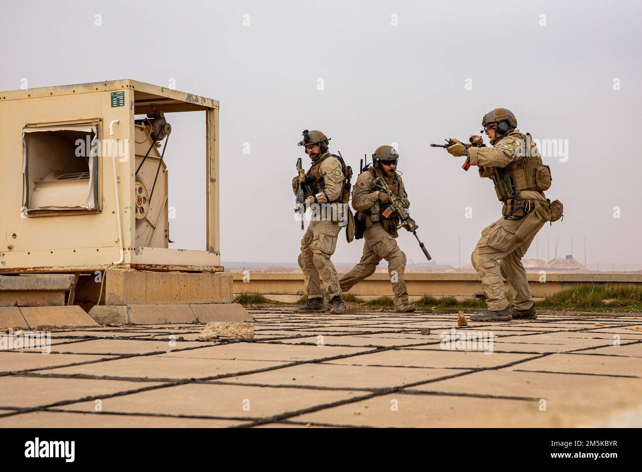 Norwegian Soldiers, assigned to Telemark Battalion, Task Force Viking ...