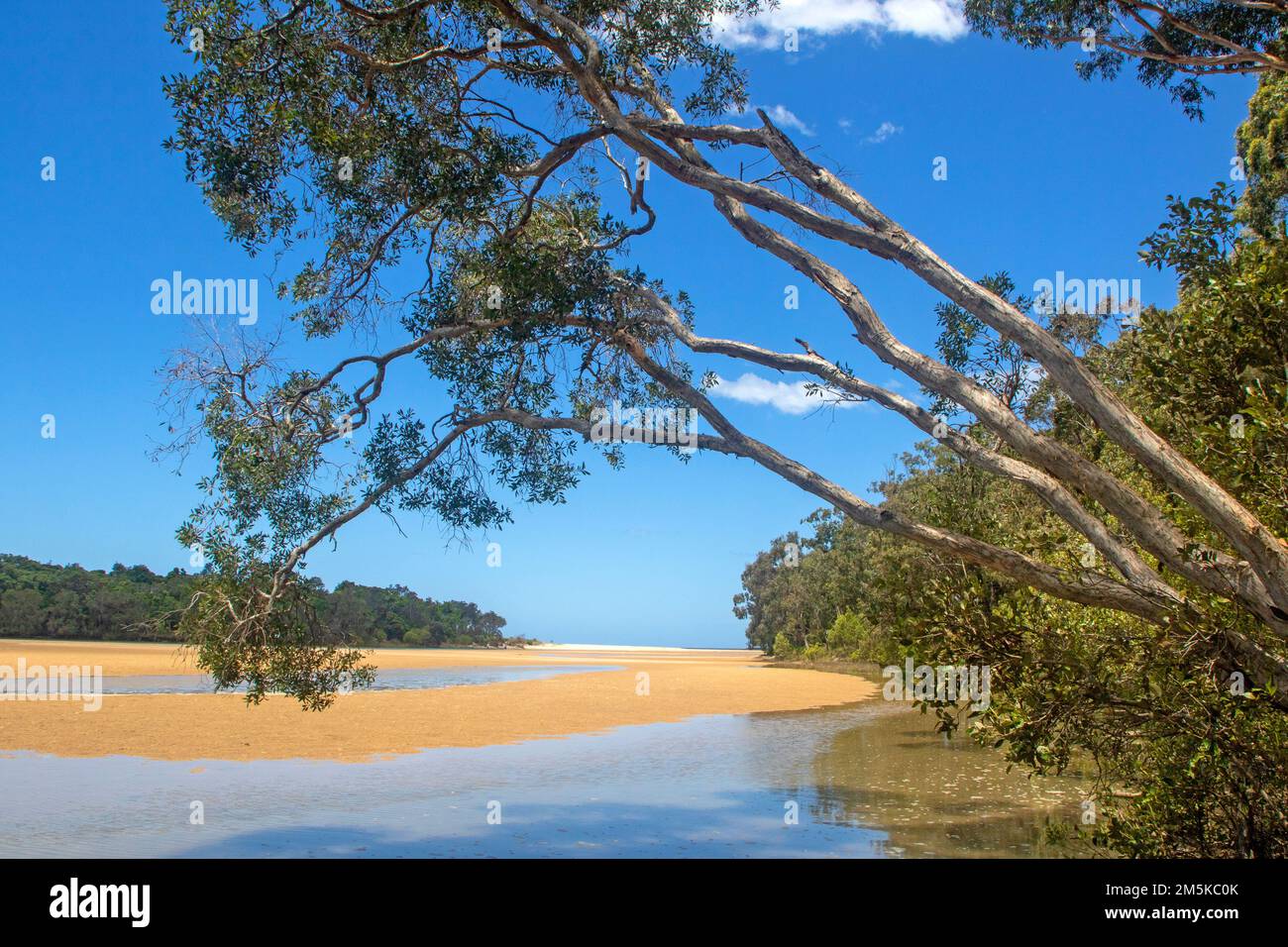 Moonee beach coffs harbour hi-res stock photography and images - Alamy