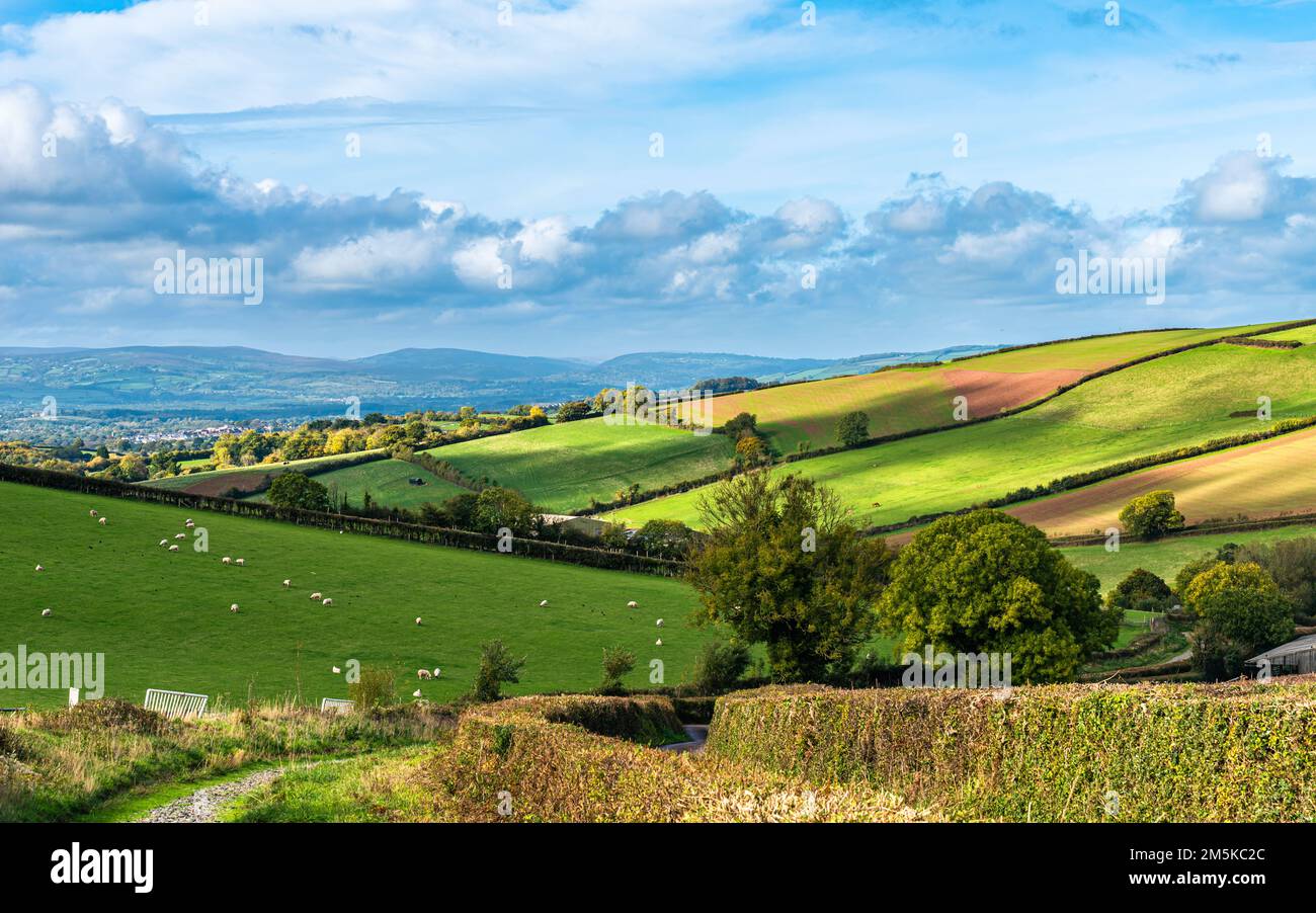 Fields and Farms over Devon, England, Europe Stock Photo - Alamy