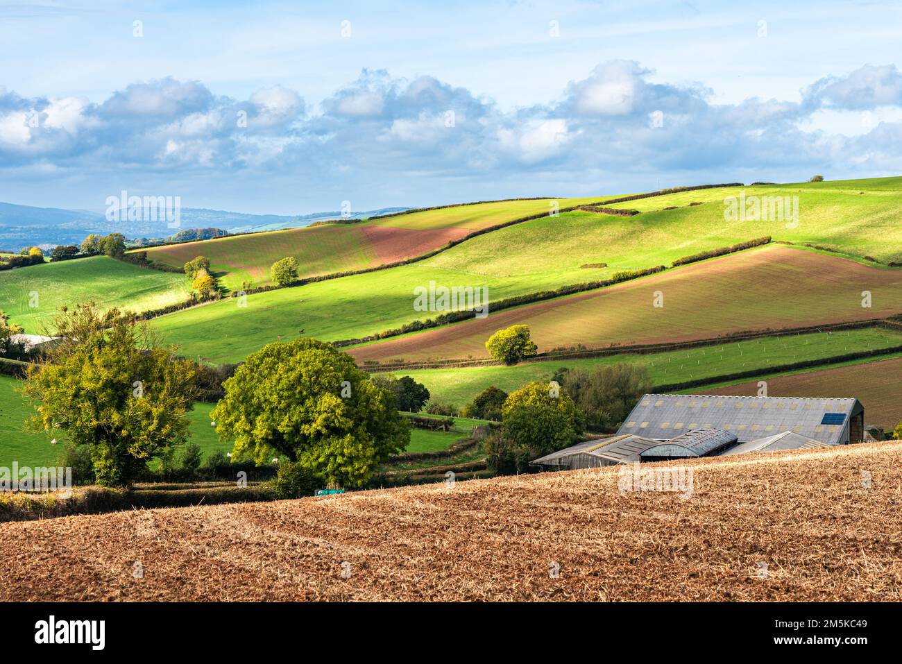 Fields and Farms over Devon, England, Europe Stock Photo - Alamy