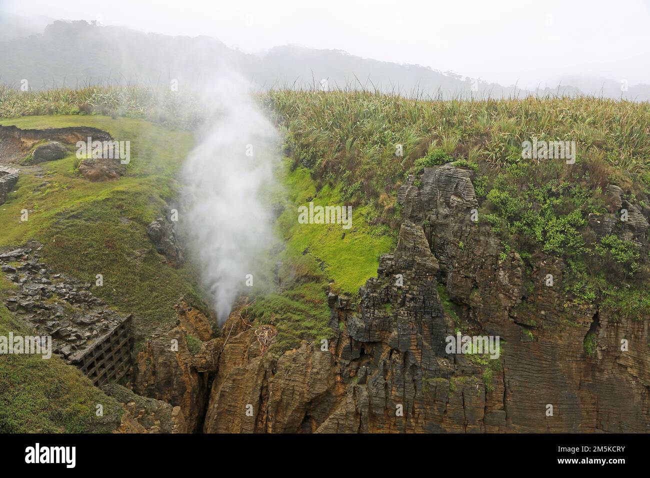 Blowhole paparoa national park hi-res stock photography and images - Alamy