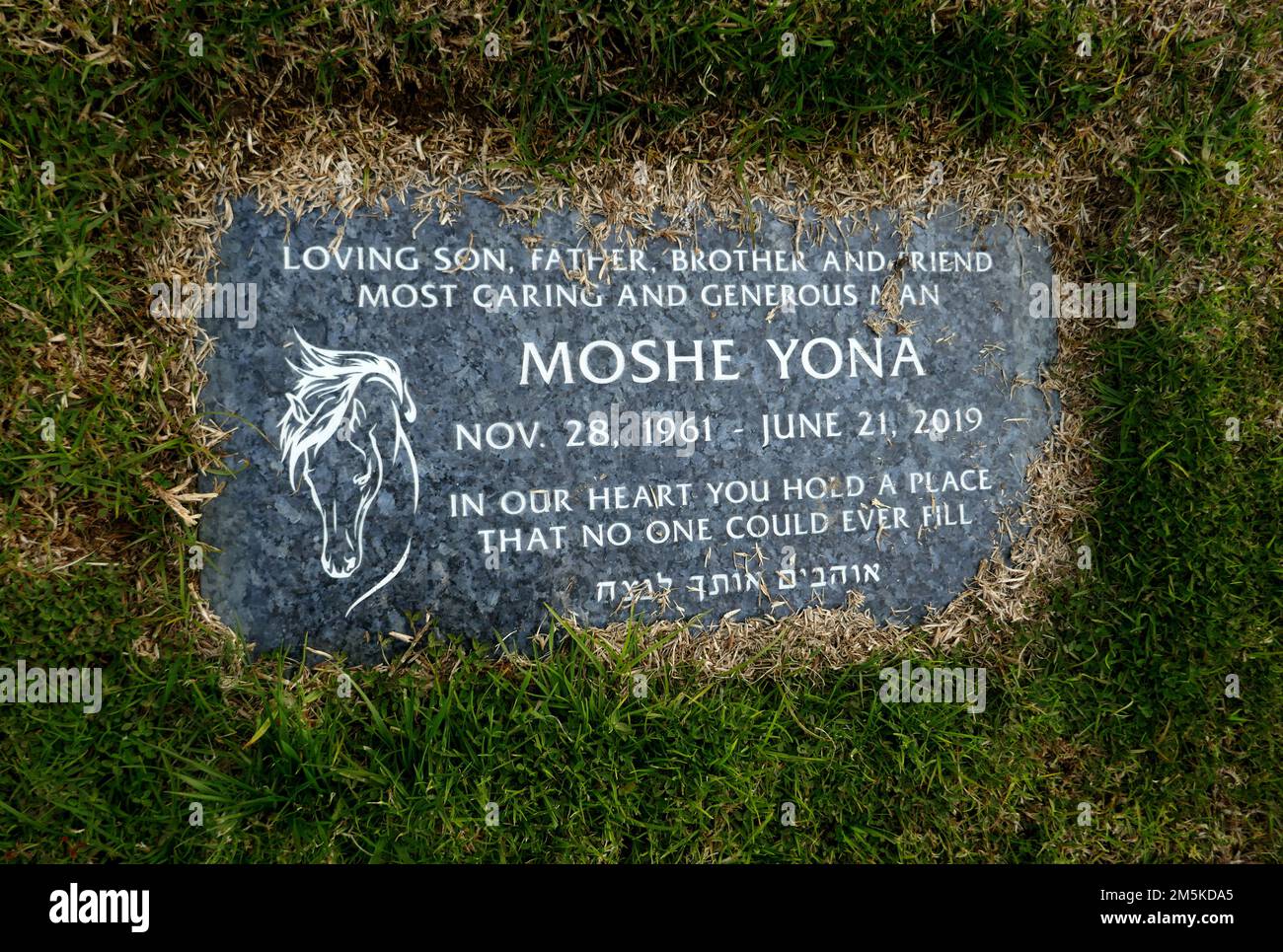 Los Angeles, California, USA 22nd December 2022 Horse on Moshe Yona's ...