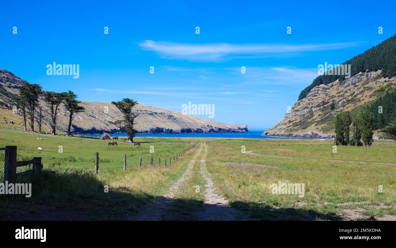 A Look at life in New Zealand: a secluded bay on a rugged coastline ...