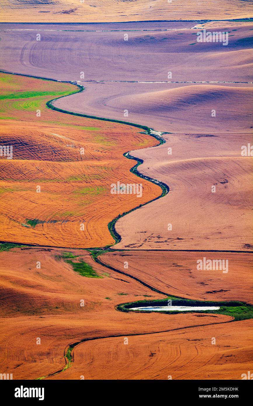 Beautiful colorful farm fields; Palouse region; Washington state; USA ...