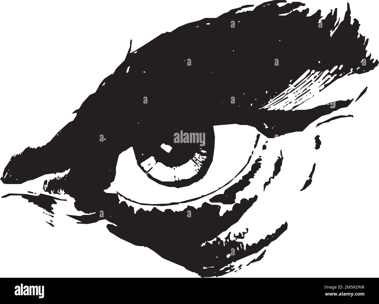 Man's Eye Vector. Illustration On White Background. A vector ...