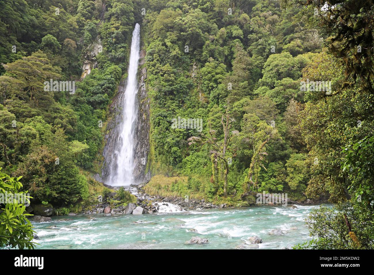 Thunder Creek Falls - New Zealand Stock Photo - Alamy