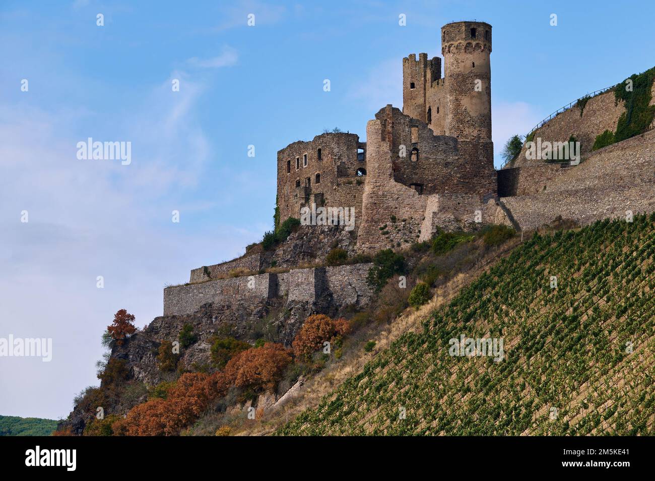 Ruins of Medieval Ehrenfels Castle built in 1212. Located on a hilltop ...