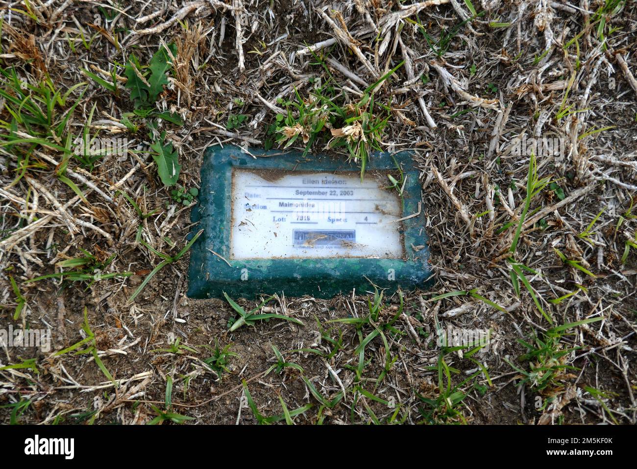 Los Angeles, California, USA 22nd December 2022 Actress Ellen Idelson's ...