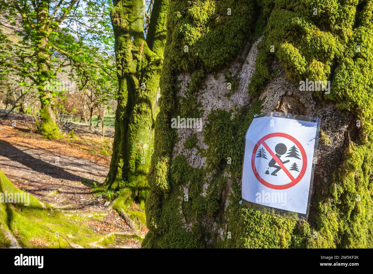 No defecating,pooing,do not poo,no shitting,no number two,twos,sign ...