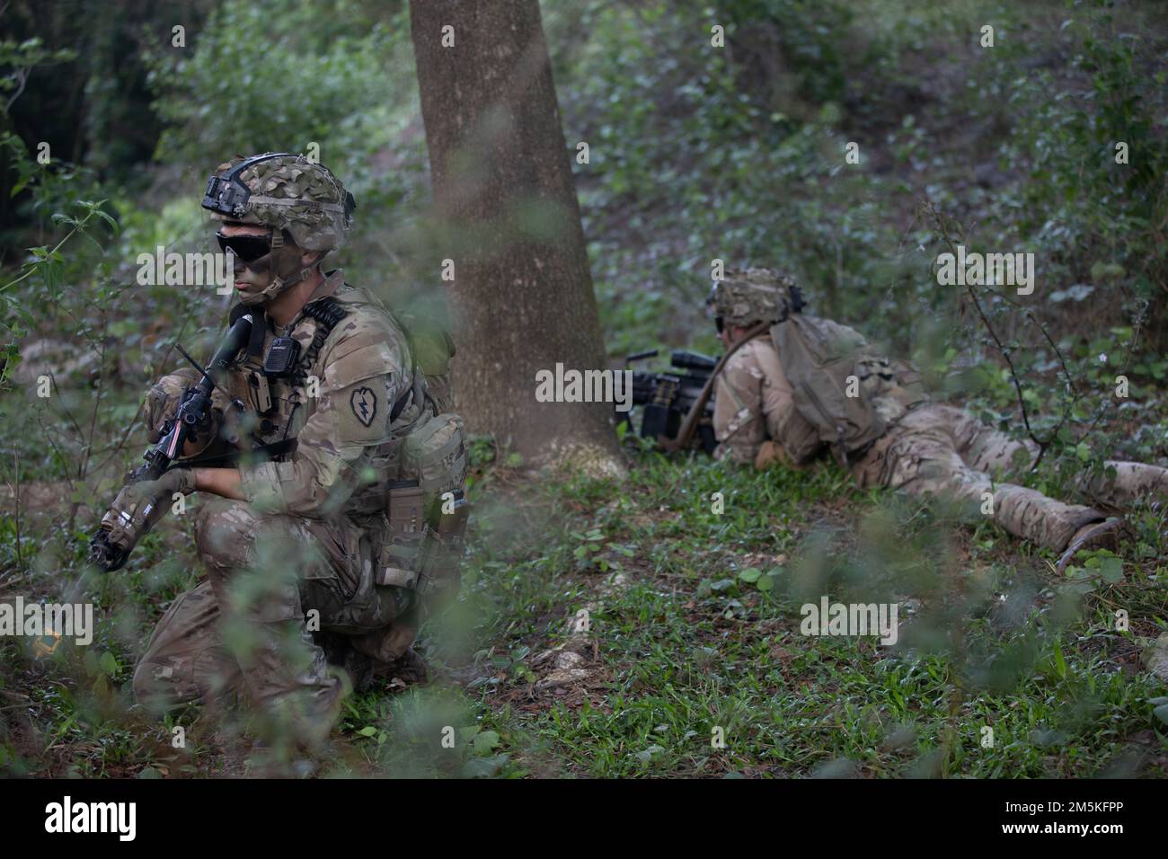 U.S. Army Soldiers assigned to Company D, 2nd Battalion, 27th Infantry ...