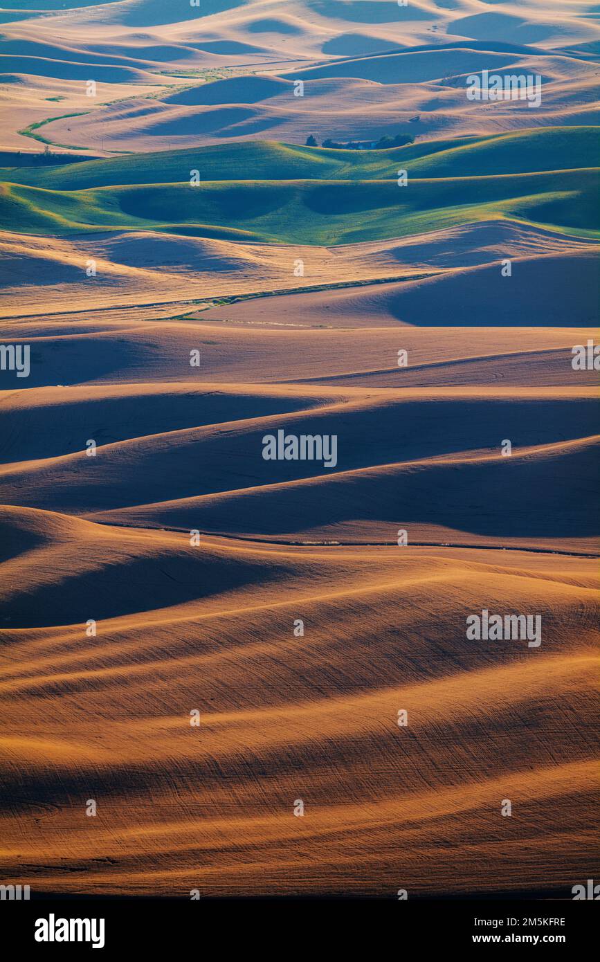 Beautiful colorful farm fields; Palouse region; Washington state; USA ...