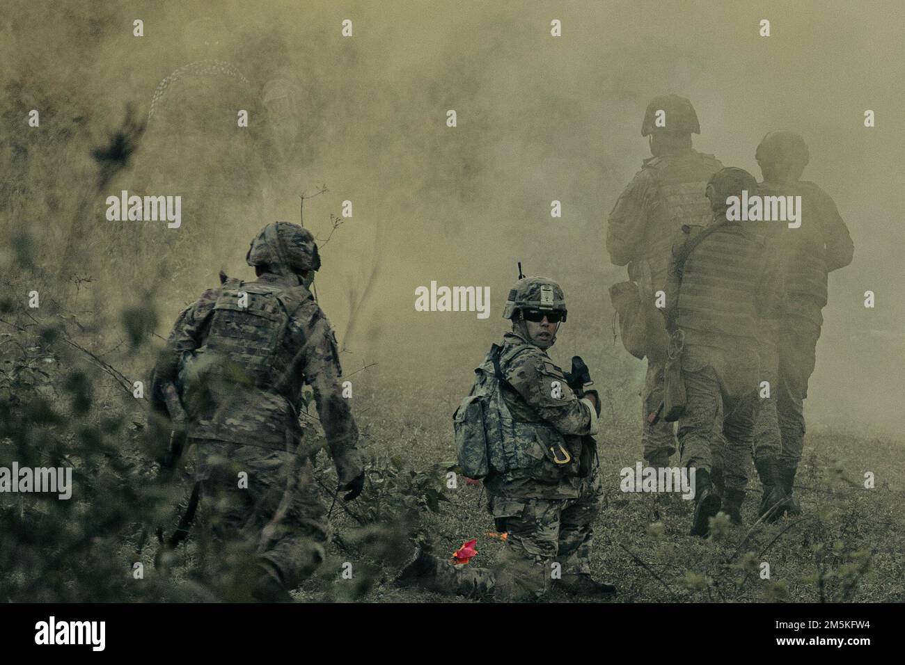 U.S. Army Soldiers assigned to Company D, 2nd Battalion, 27th Infantry ...