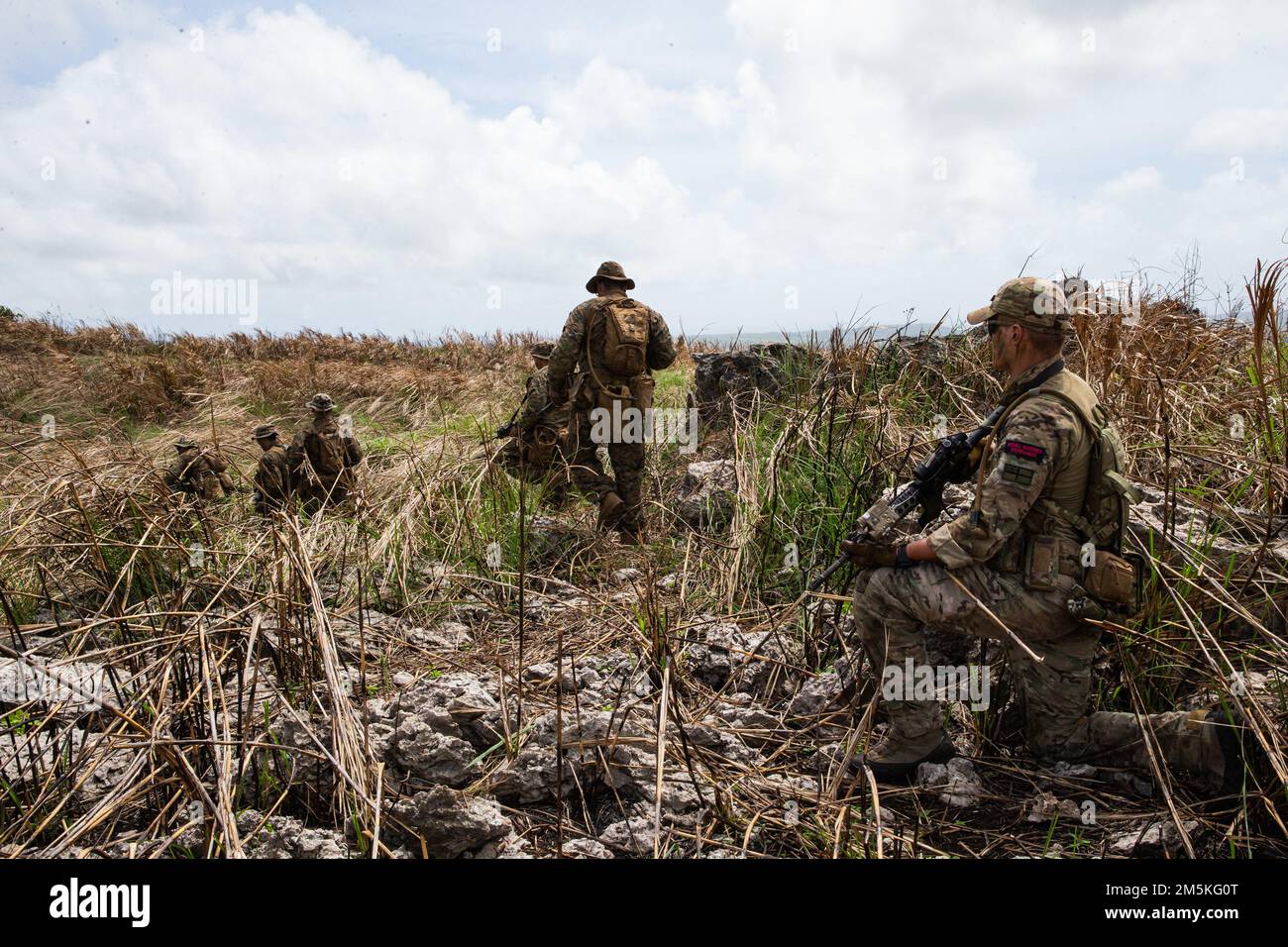 British royal marine commandos hi-res stock photography and images - Alamy