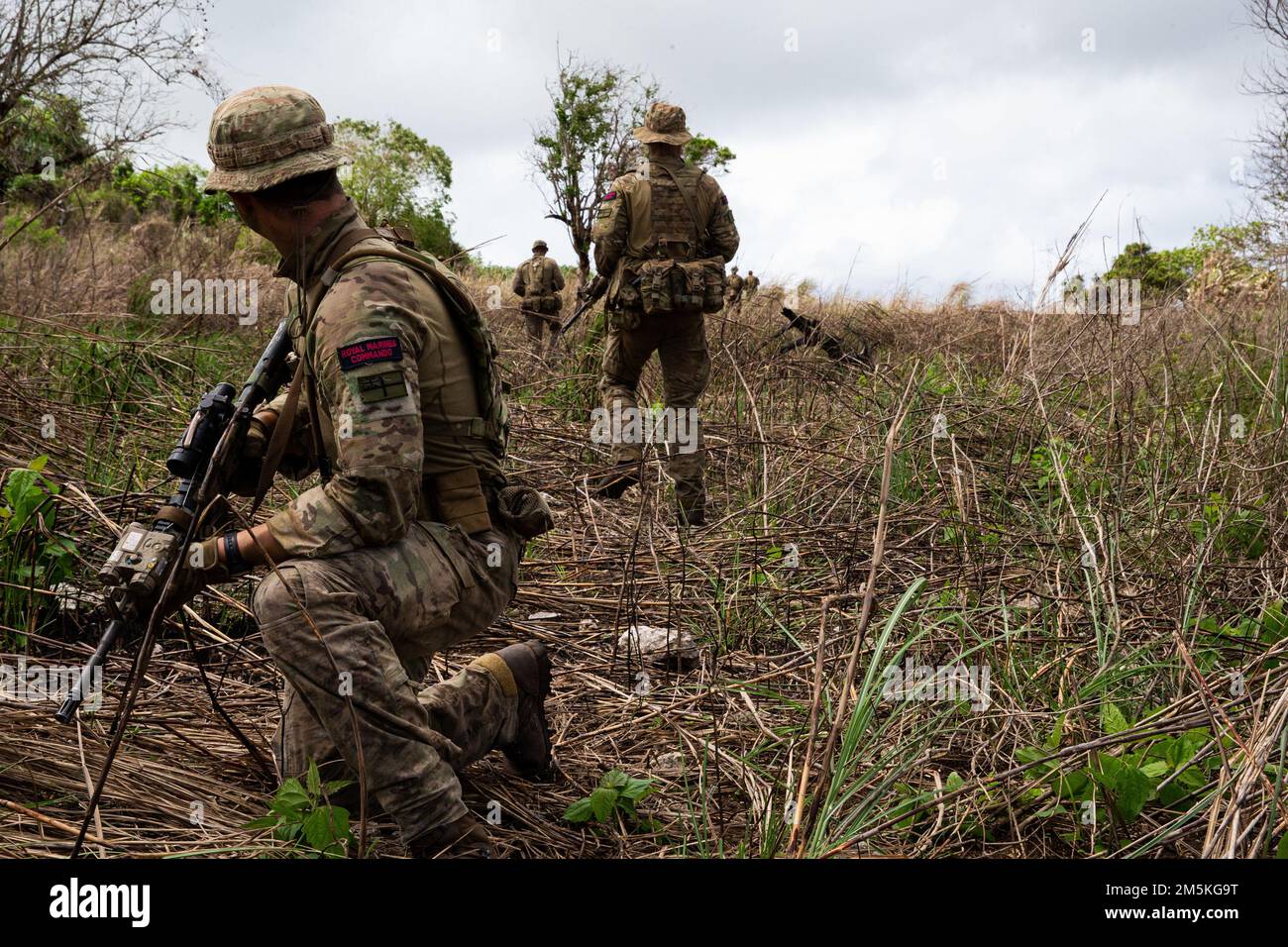 A British Royal Marine Commando with 40 Commando Royal Marines, sets ...