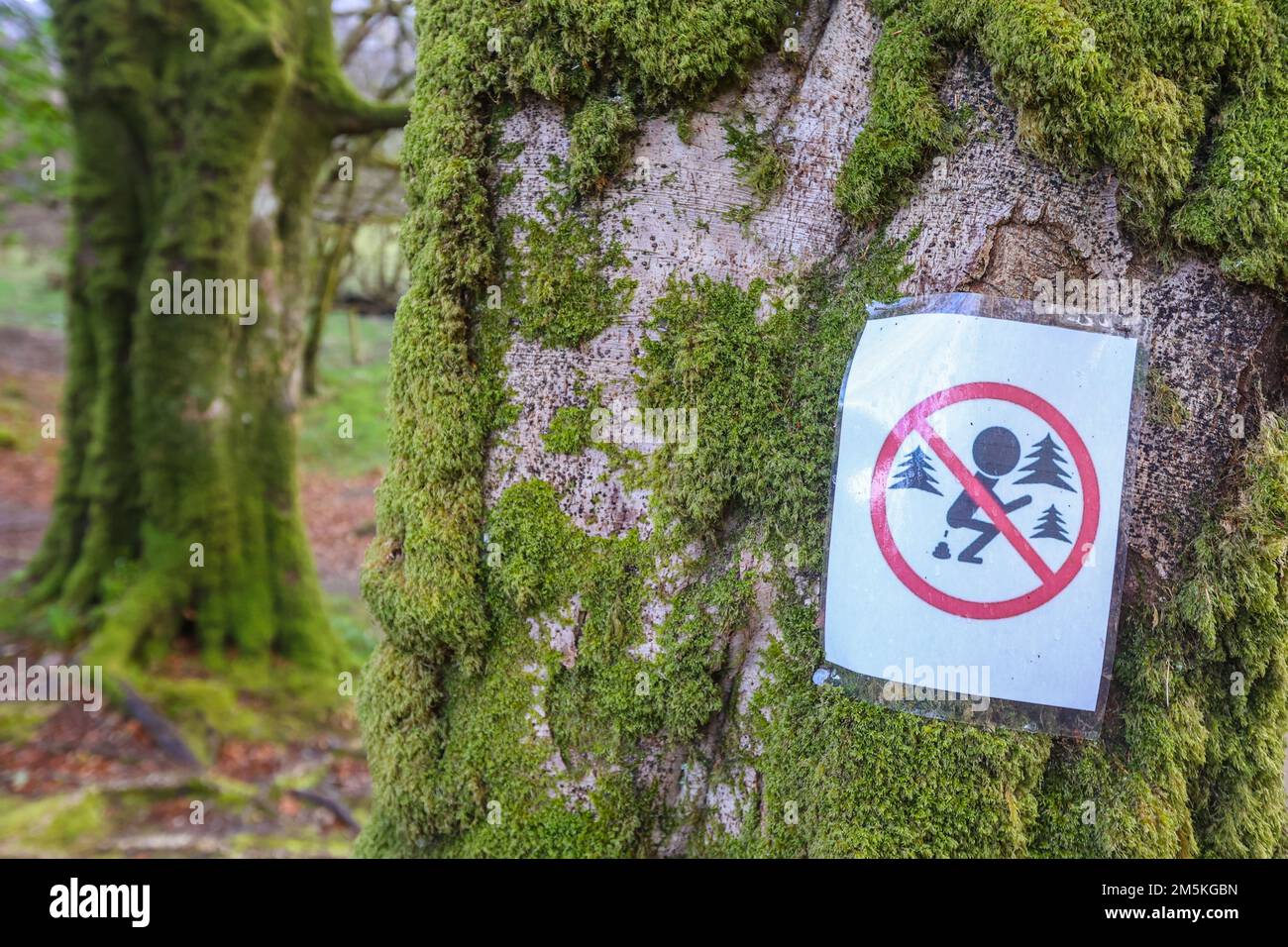 No defecating,pooing,do not poo,no shitting,no number two,twos,sign ...