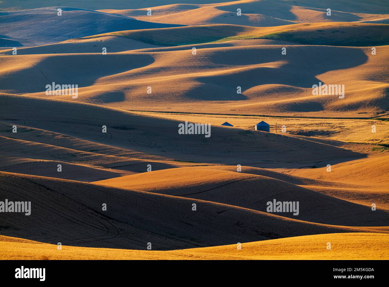 Beautiful colorful farm fields; Palouse region; Washington state; USA ...