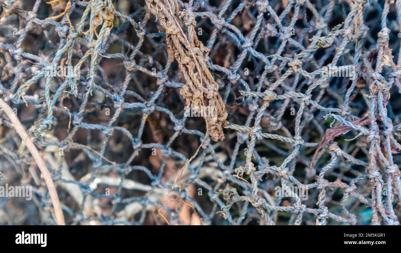fish net texture as background Stock Photo - Alamy
