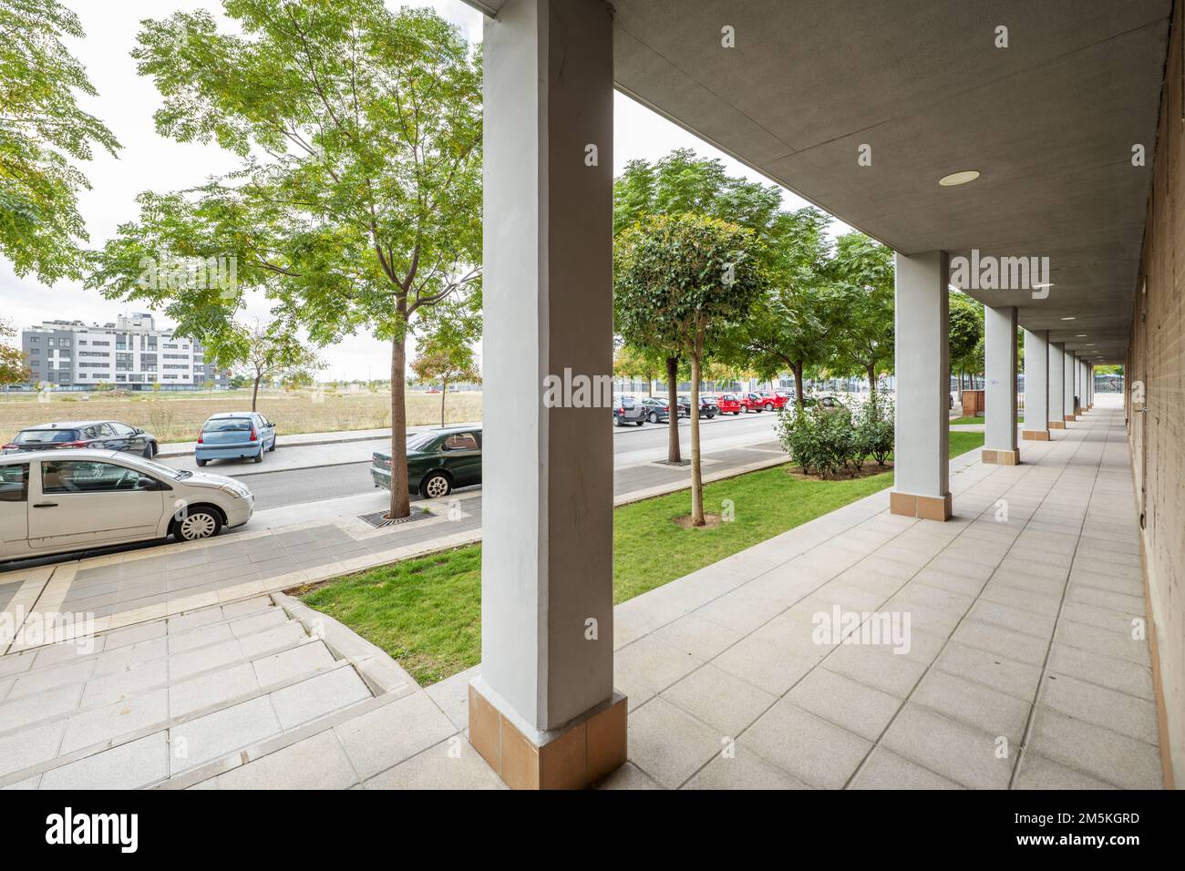 Porch of a building with an illuminated, tree-lined promenade and ...