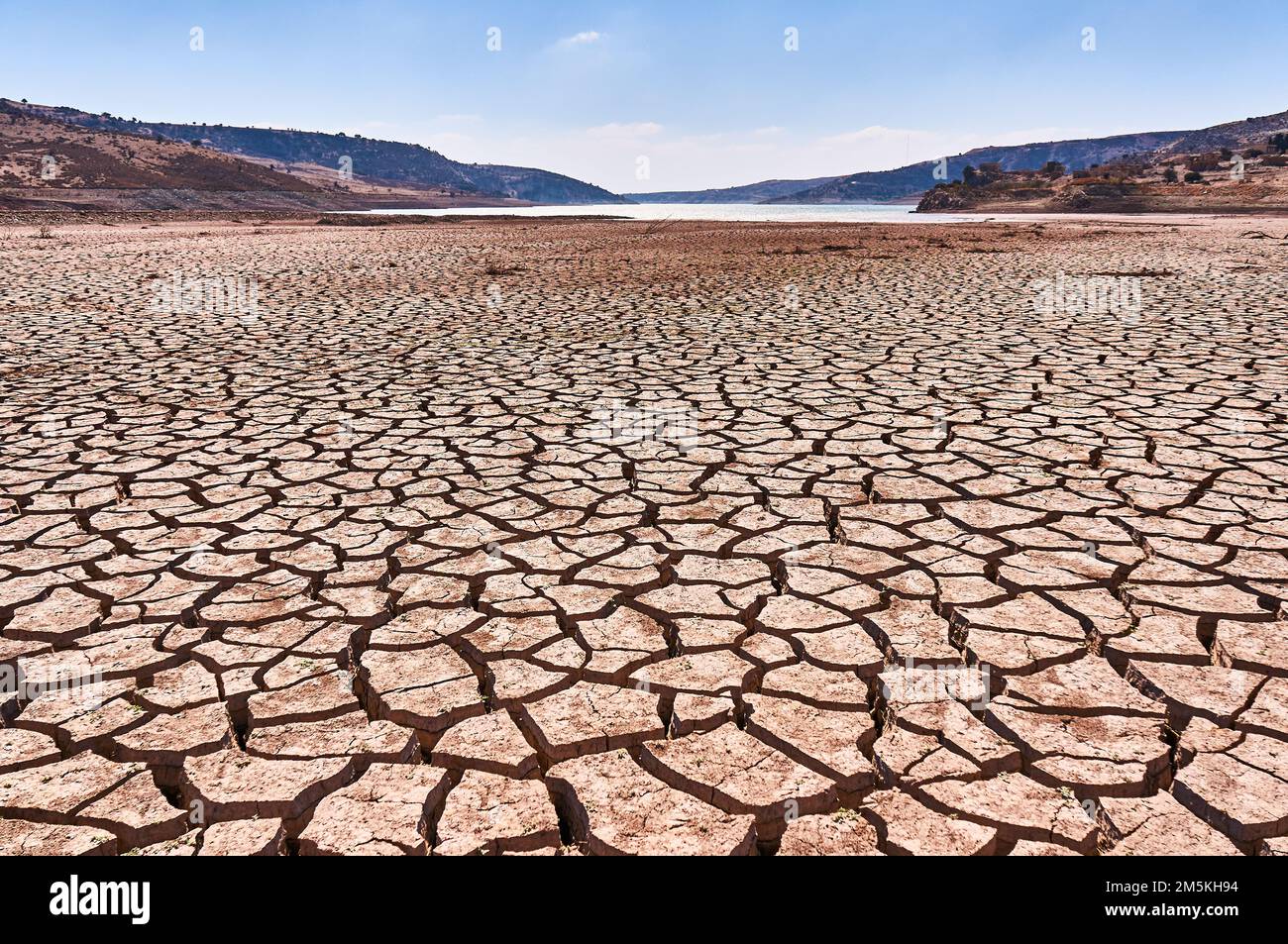 Drought lake during summer caused cracked terrain Stock Photo - Alamy