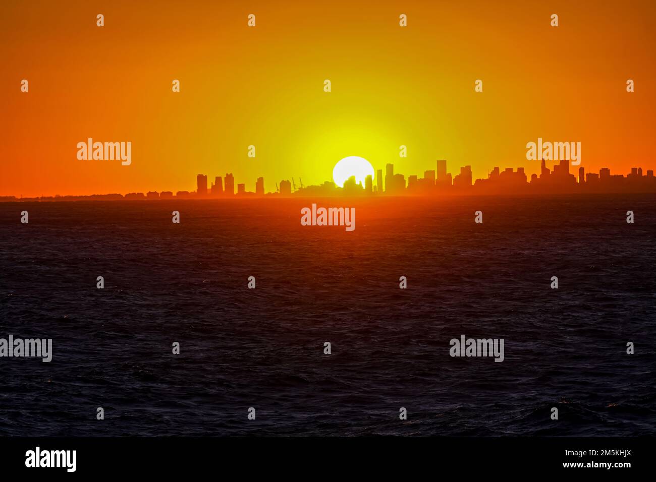 Miami city skyline silhouette background hi-res stock photography and ...