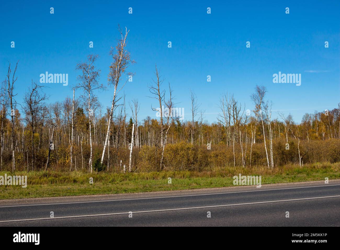 Swamping hi-res stock photography and images - Alamy