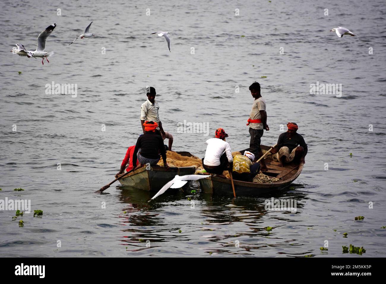 Fishermen catch fish inside the Anasagar Lake in Ajmer, Rajasthan ...