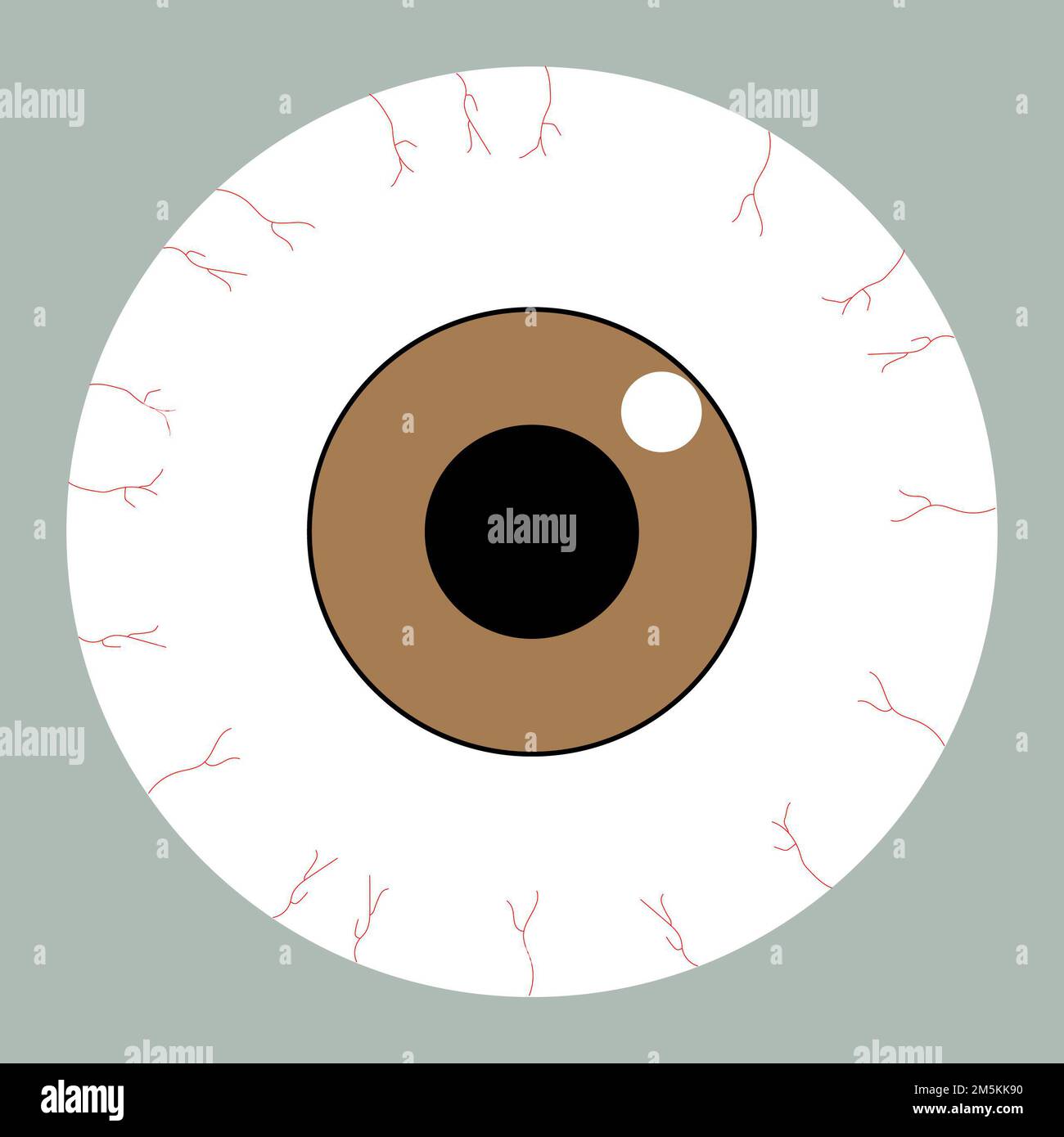Eyeball drawing hi-res stock photography and images - Alamy