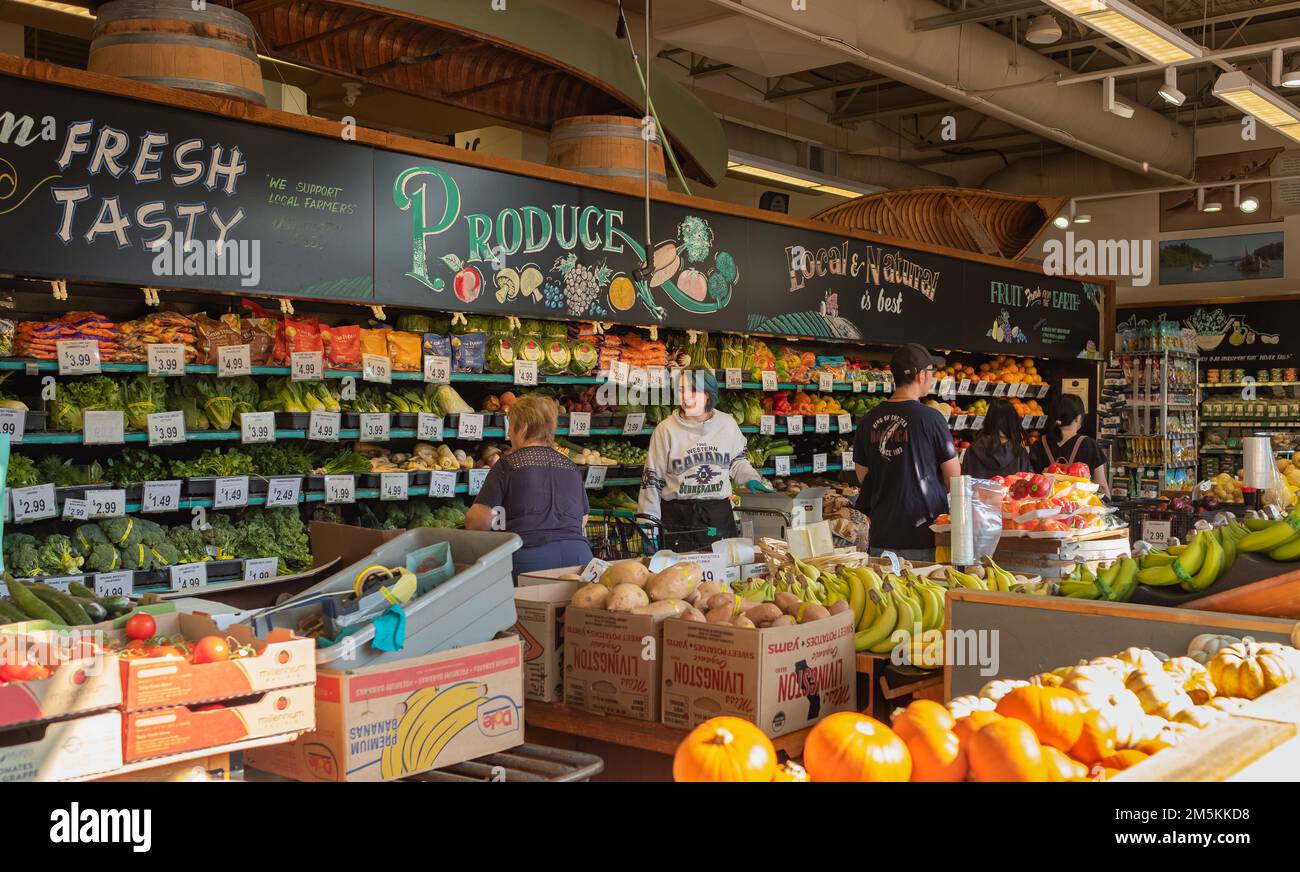 People shopping in the supermarket. Buyer Shopping Groceries In ...