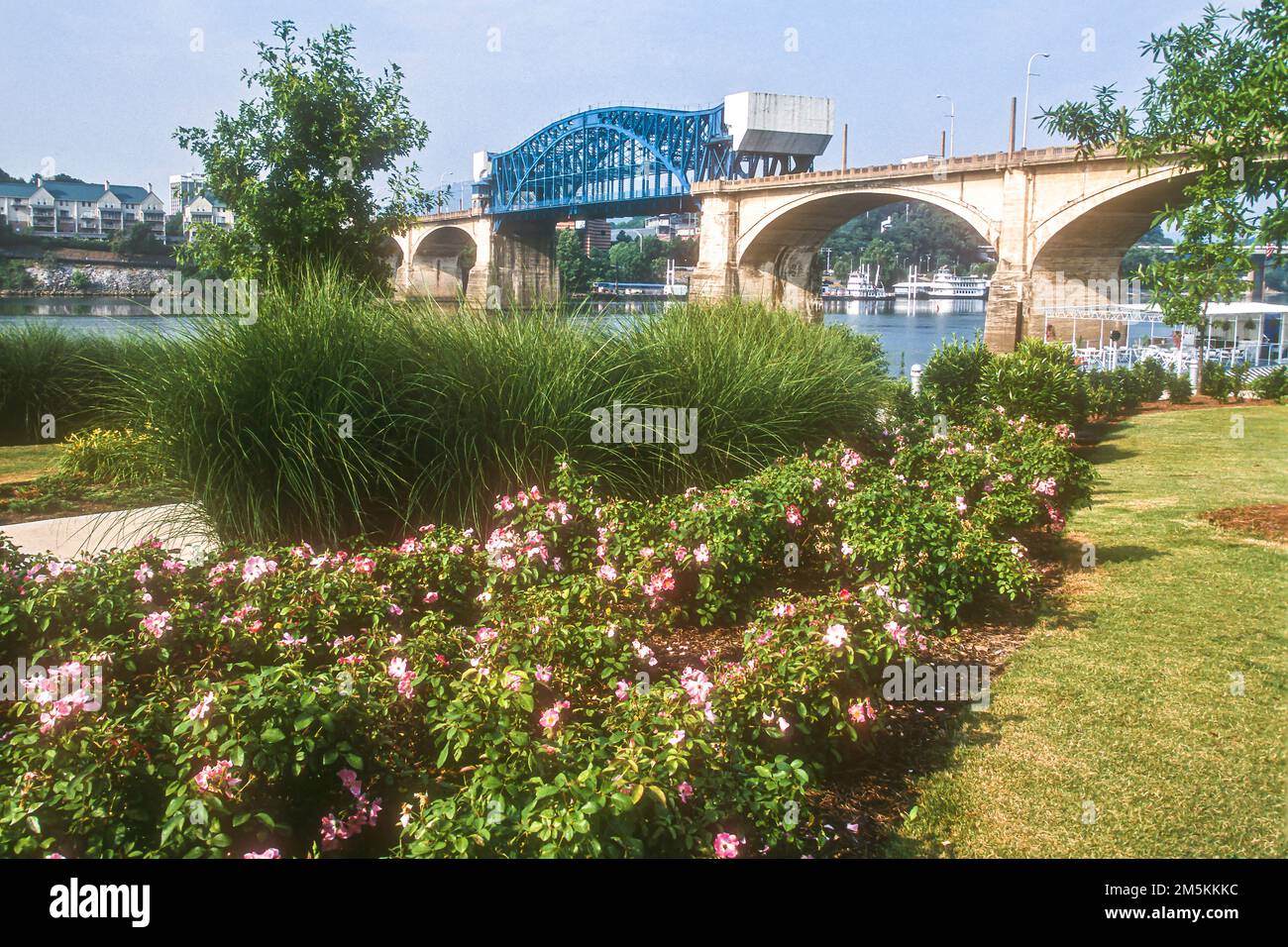The Tennessee River Park, Chattanooga, TN Stock Photo - Alamy