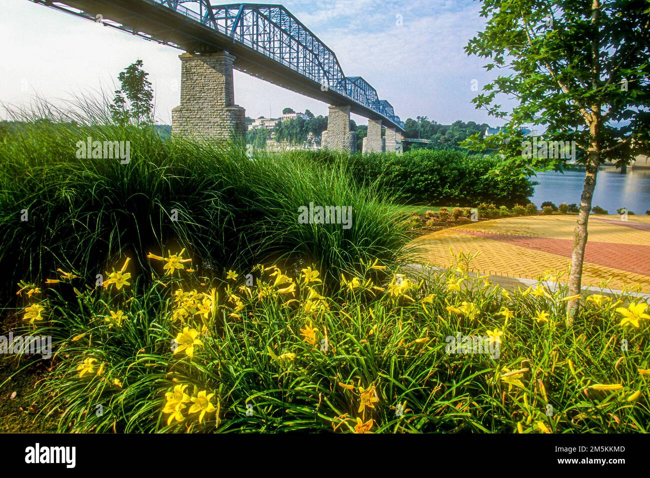 The Tennessee River Park, Chattanooga, TN Stock Photo - Alamy
