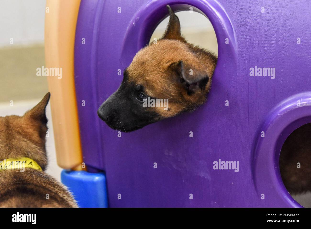 341 trs hi-res stock photography and images - Alamy